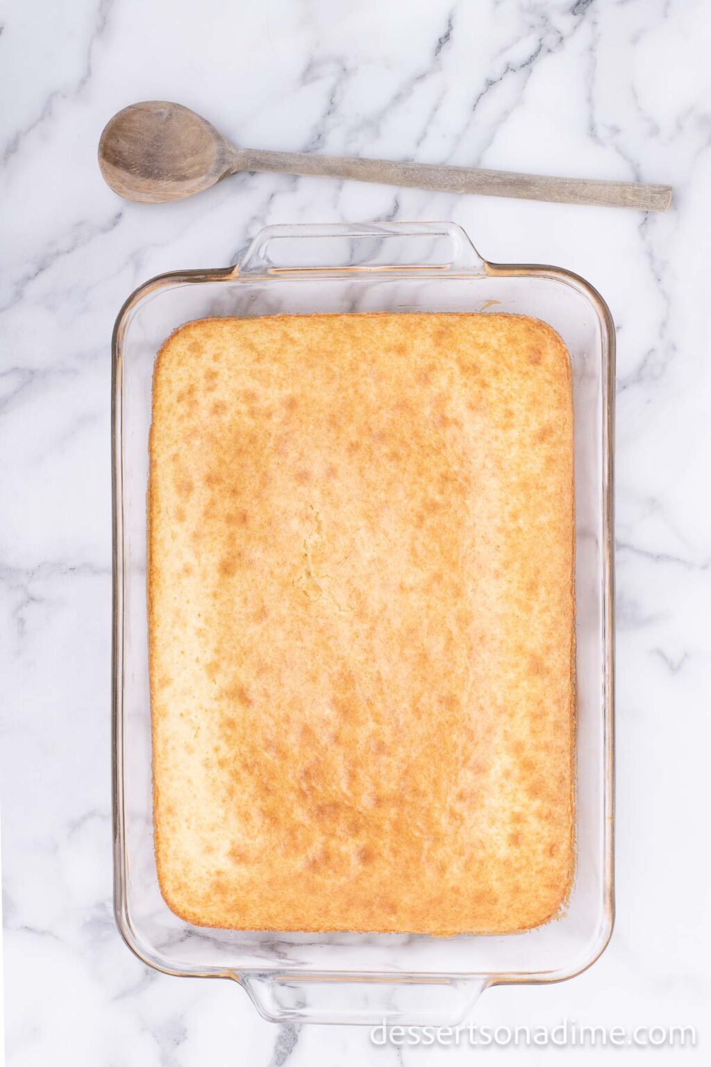 Smores cake - Decadent Smores Cake Recipe