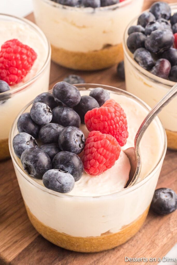 Rich Cheesecake Pudding - No Bake Recipe