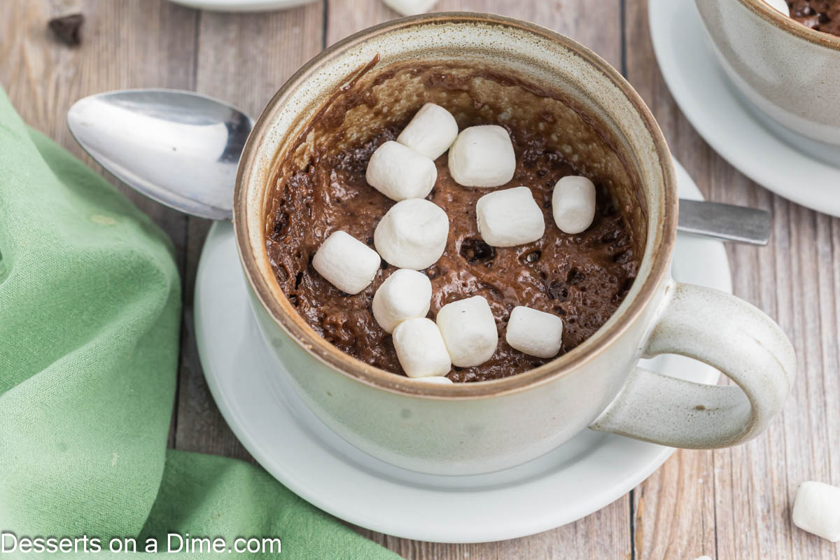 Hot Chocolate Mug Cake - Desserts on a Dime